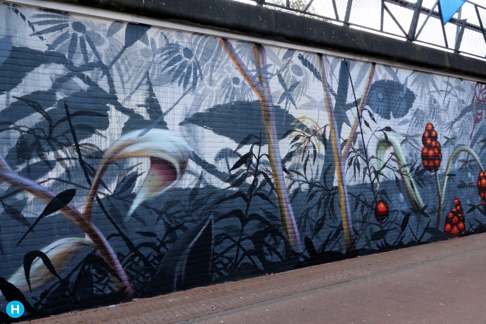 Alweer een prachtige muurschildering gemaakt in Helmond - Ditishelmond.nl