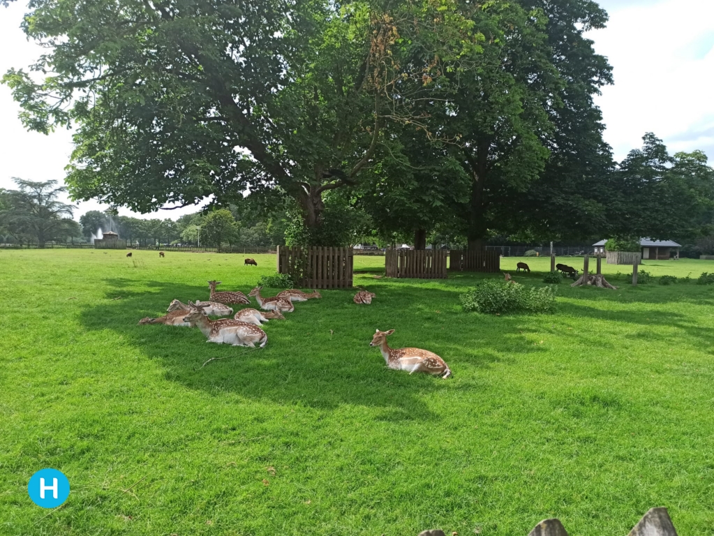 Behoud van de boomlanen in de Warande - Ditishelmond.nl