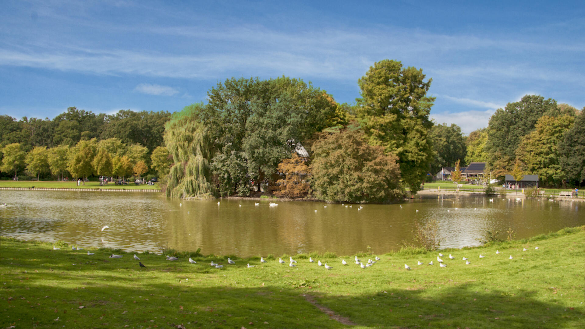 Wijkgesprek Stiphout en Warande - Ditishelmond.nl