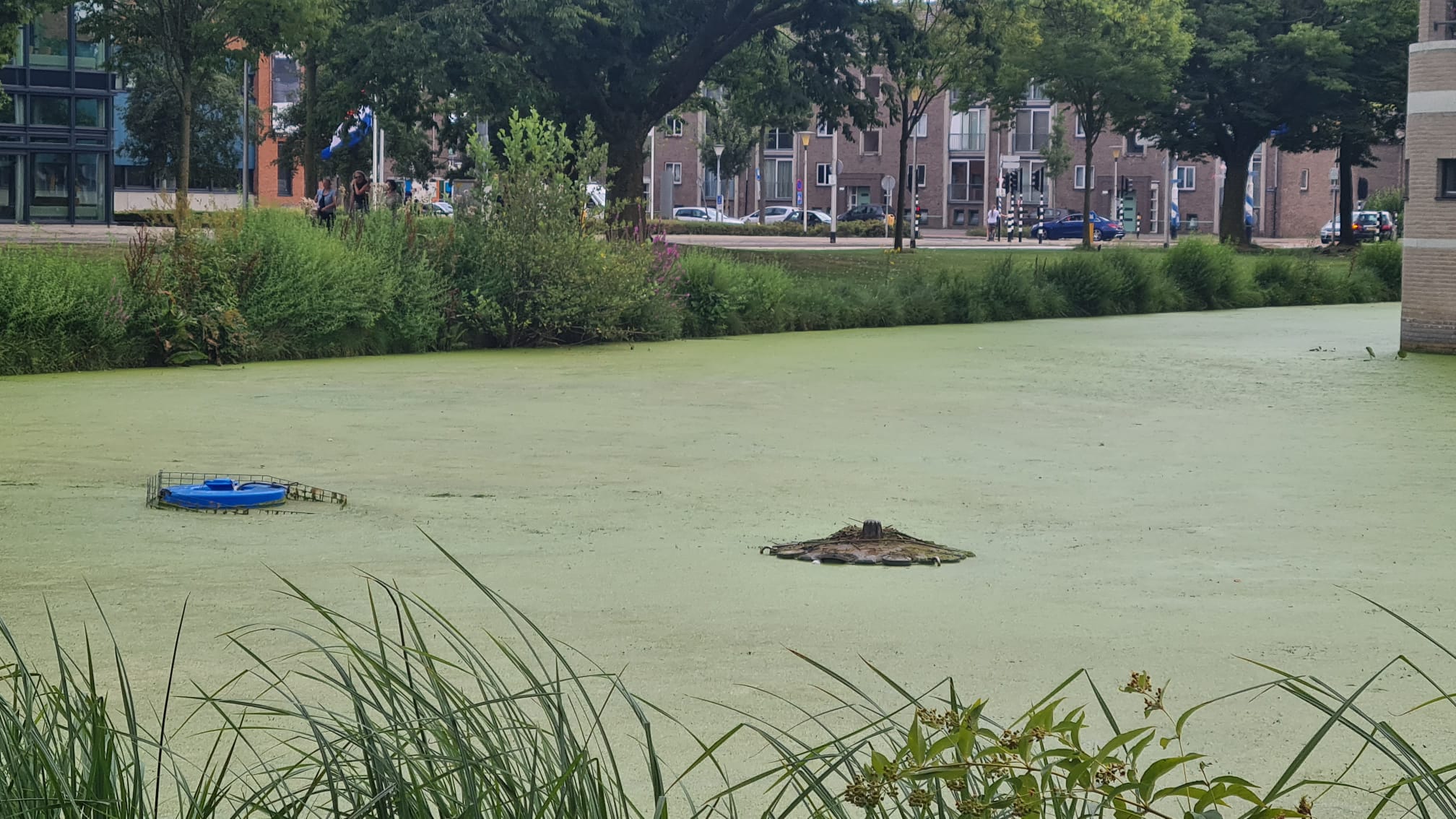 Bewoners Kasteel-Noord in Helmond zijn vervuilde vijver zat ...