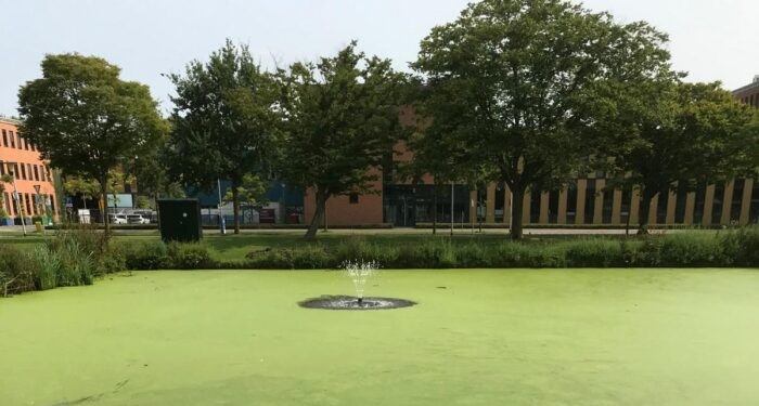 Kasteel-Noord Helmond: 'Vijver schoongemaakt, maar pomp niet ...